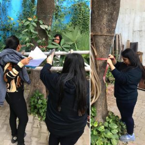 Tree Census - New Delhi Nature Society