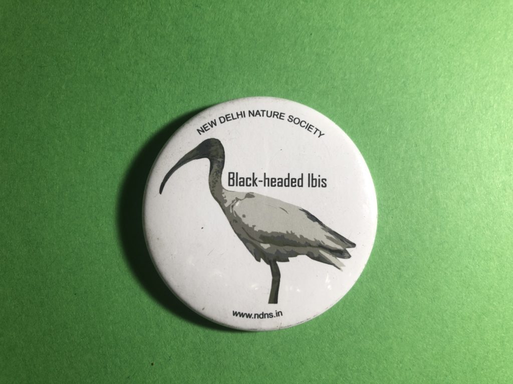 Black-headed Ibis Badge - New Delhi Nature Society