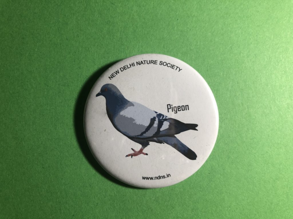 Pigeon Badge - New Delhi Nature Society