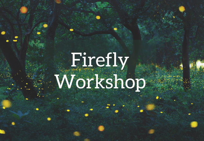 Fireflies Workshop - New Delhi Nature Society
