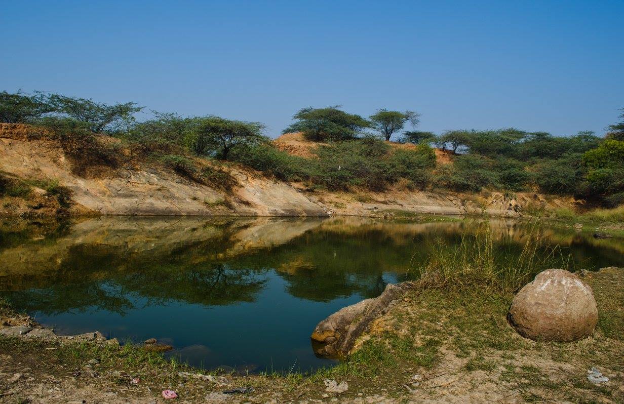 Rajokri Forest- Nature Walk - New Delhi Nature Society