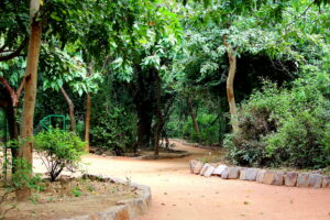 Sanjay Van- Nature Walk - New Delhi Nature Society