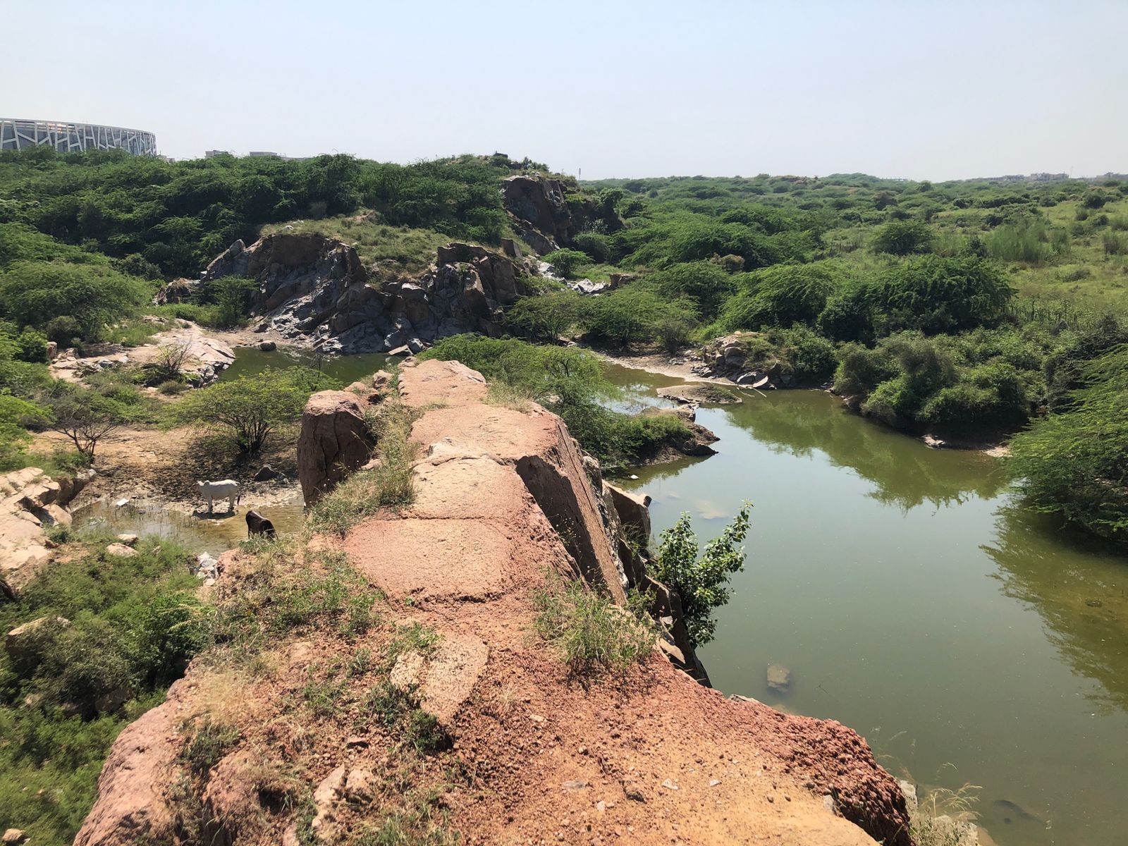 Vasant Kunj Park - Nature Walk - New Delhi Nature Society