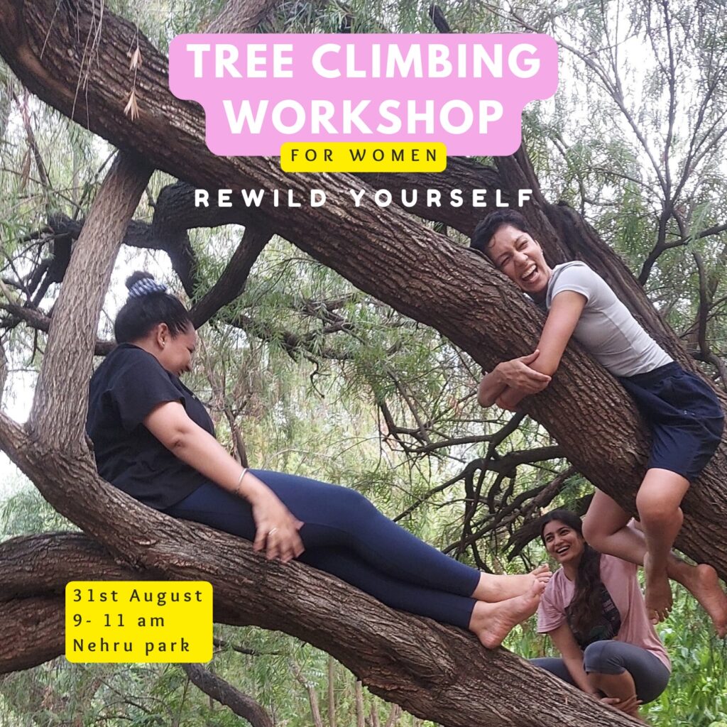 Tree Climbing Workshop for Women - New Delhi Nature Society