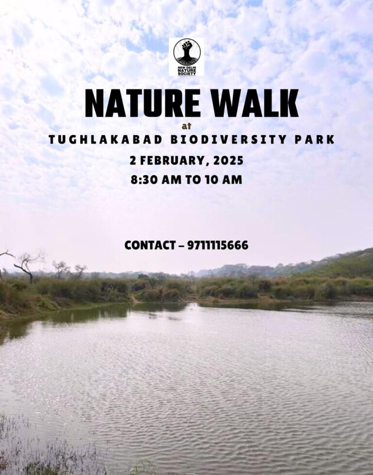 Tughlakabad Nature Walk - New Delhi Nature Society